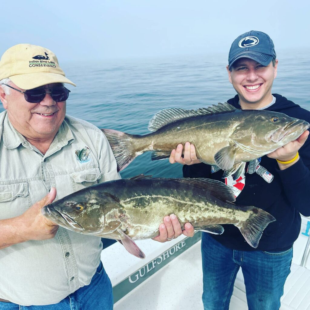 Plan Now For Crystal River Grouper Fishing
