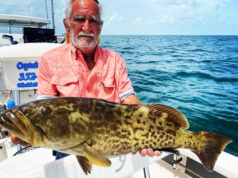 Crystal River Grouper Fishing Charters